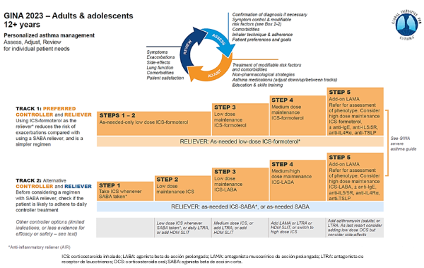 Portal del Medicamento (Novedades en el tratamiento del asma (GEMA 5.4 vs GEMA 5.0 y GINA 2024 ...